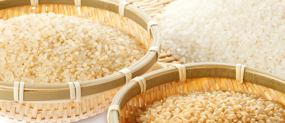 Japan Centre - Japanese Food Hall since 1976